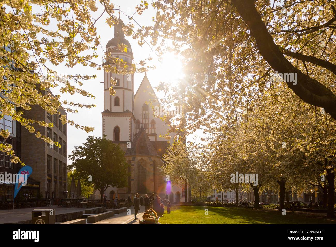 Cherry blossom time thomas hi-res stock photography and images - Alamy