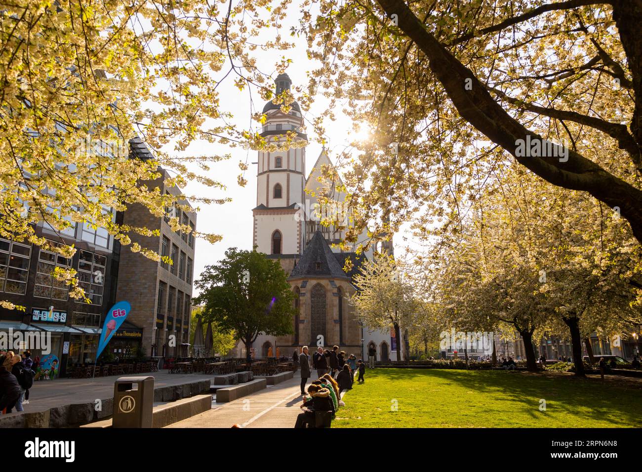 Cherry blossom time thomas hi-res stock photography and images - Alamy