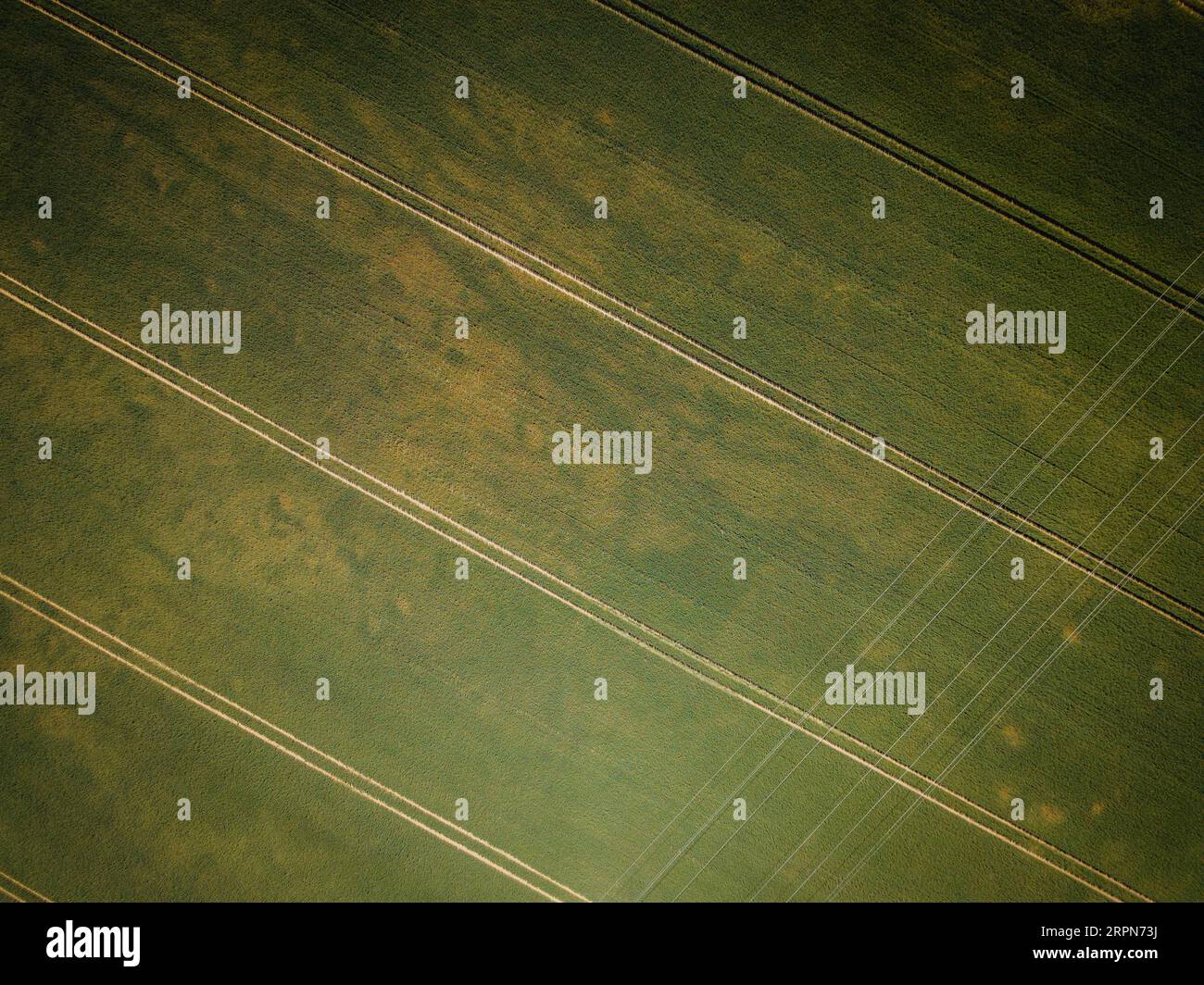 Landscape change through man. The dead-straight lines of a cultivated ...