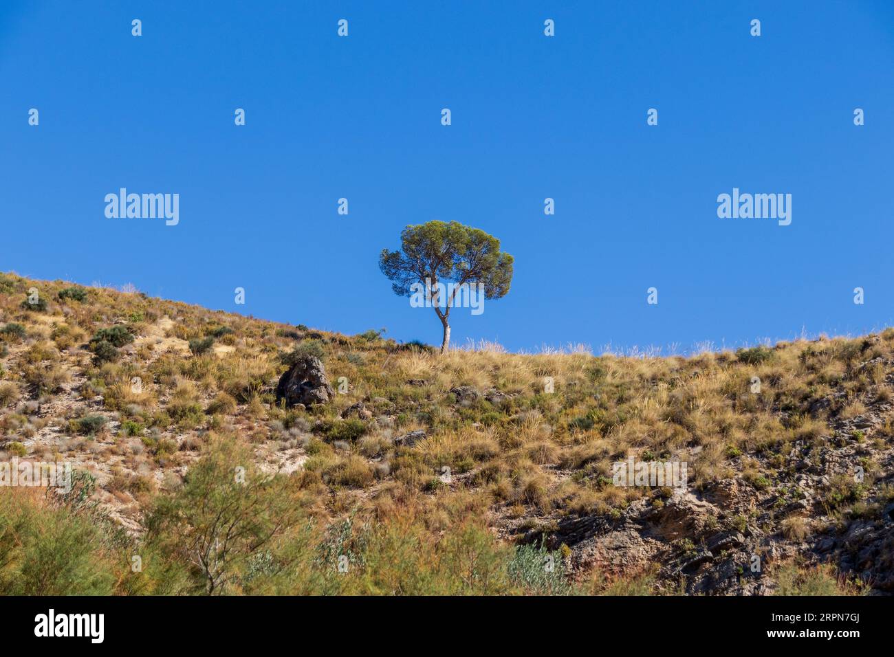 Las estancias hi-res stock photography and images - Alamy