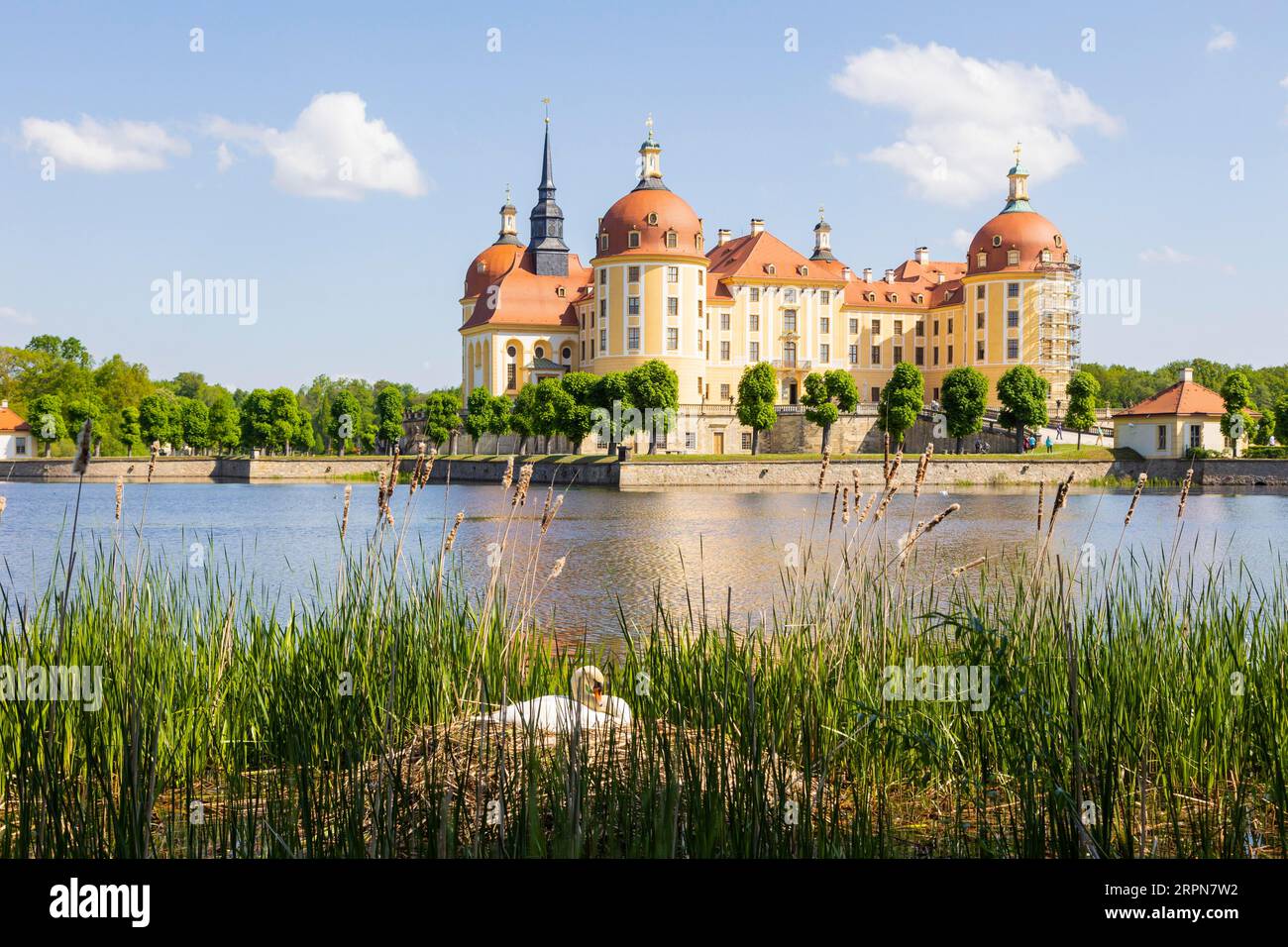 Moritzburg Baroque Palace in Spring with Swan's Nest Stock Photo - Alamy