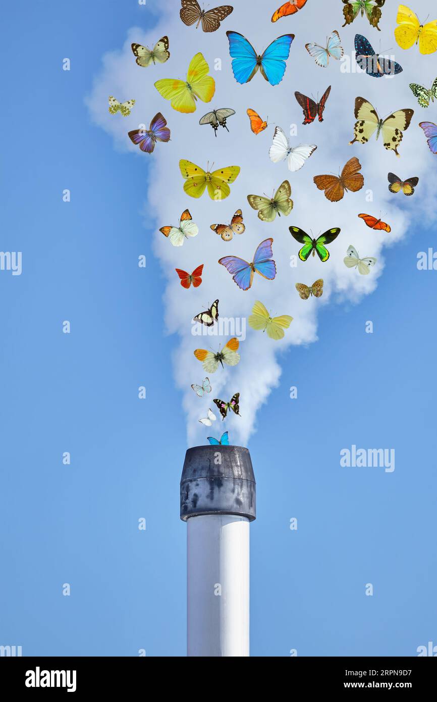 Concept of sustainable resources with factory chimney emitting fumes ...
