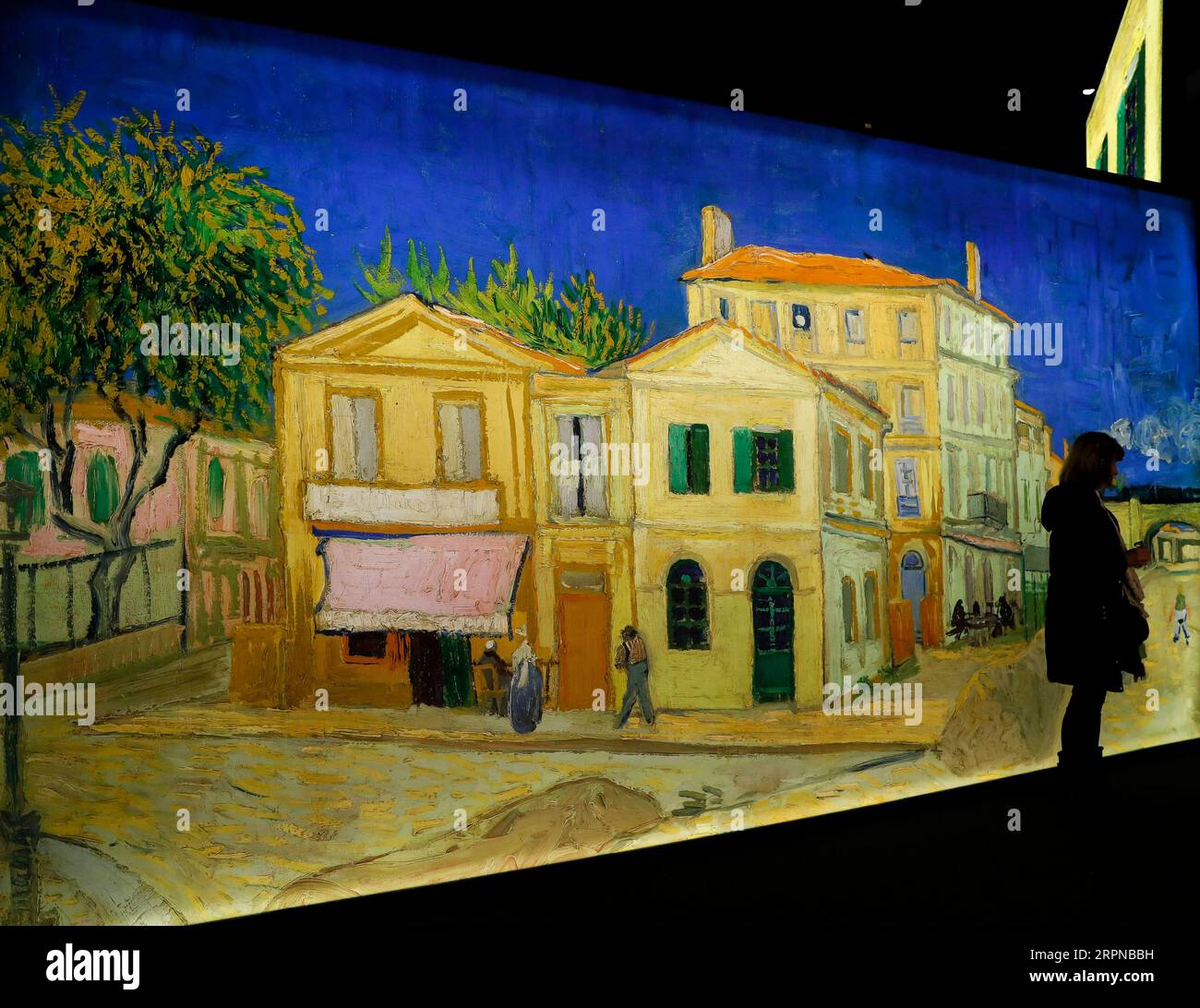 200226 -- LONDON, Feb. 26, 2020 -- A visitor stands by an exhibit ...