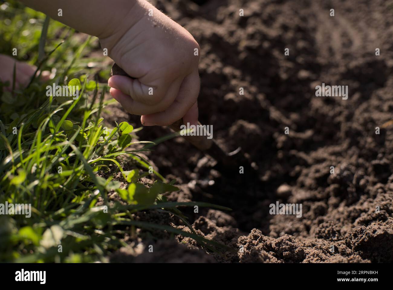 Kids shovel hi-res stock photography and images - Alamy