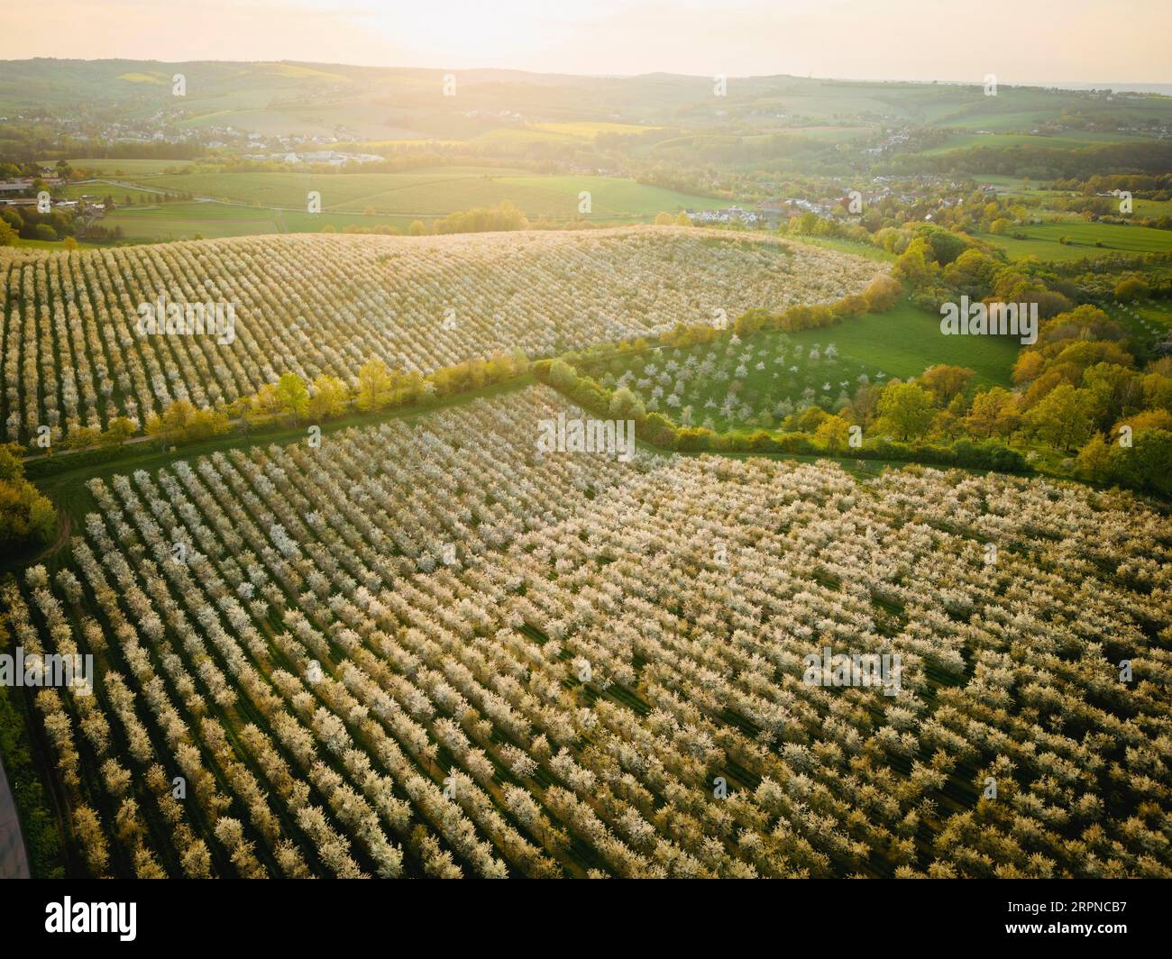 Apple orchards aerial view hi-res stock photography and images - Alamy