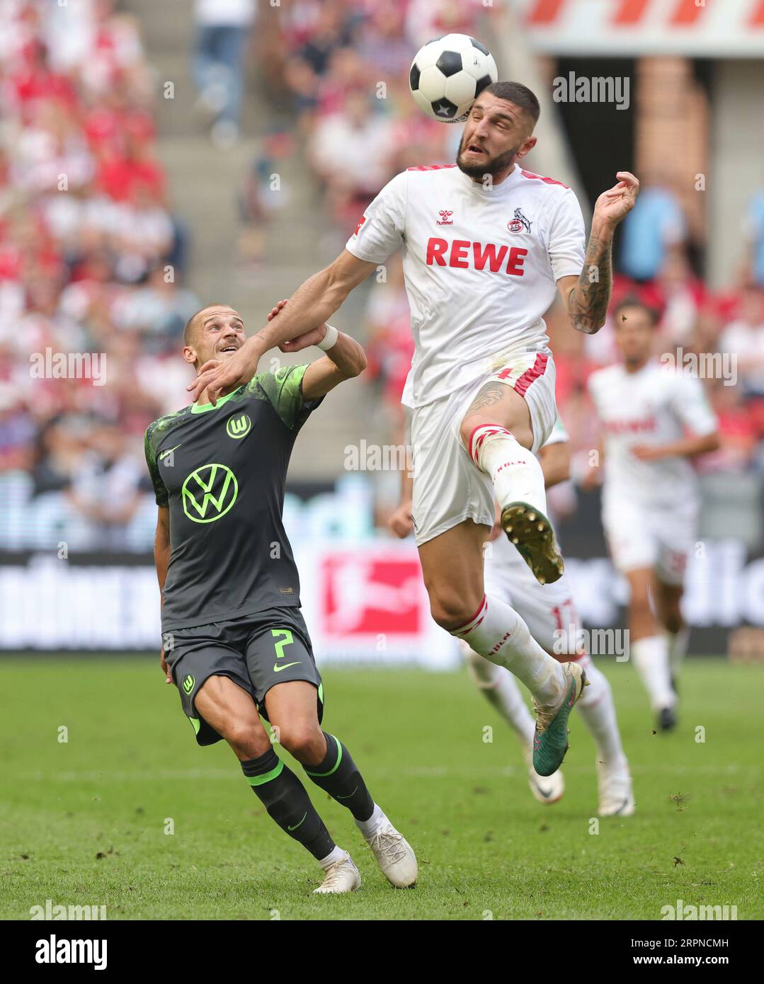 Cologne, Deutschland. 26th Aug, 2023. firo : 08/26/2023, football ...