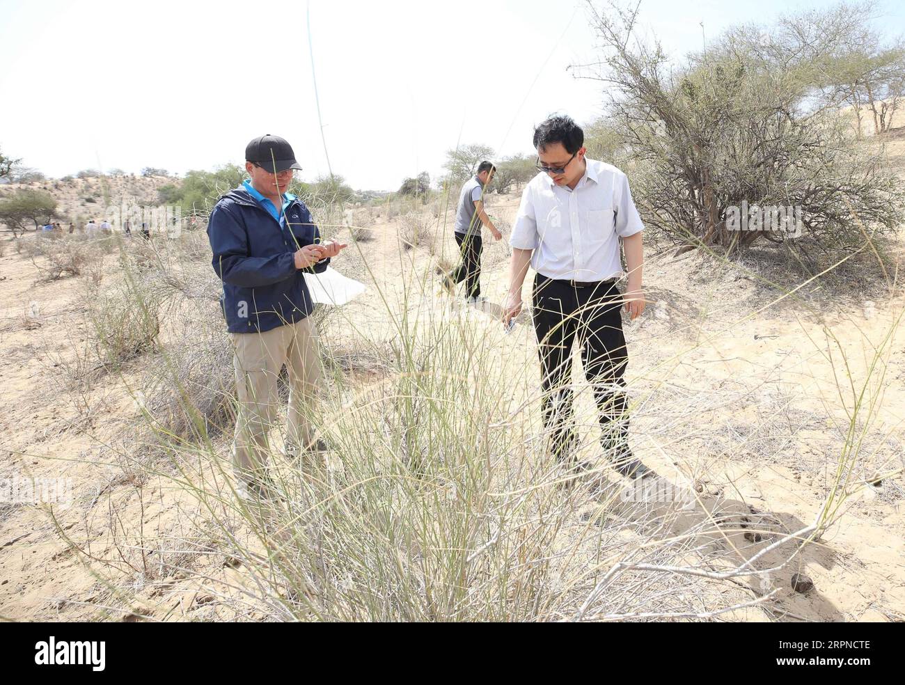 200226 -- SINDH PAKISTAN, Feb. 26, 2020 -- Chinese locust experts check ...