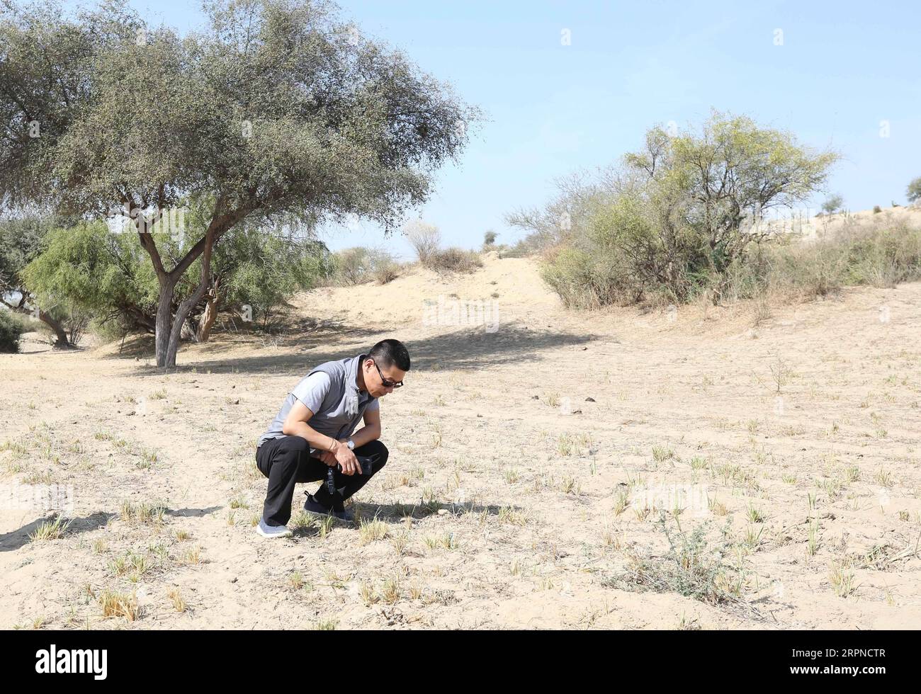 Tharparkar sindh pakistan hi-res stock photography and images - Alamy