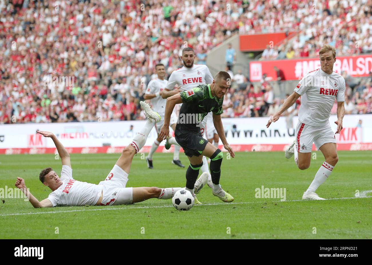 Cologne, Deutschland. 26th Aug, 2023. firo : 08/26/2023, football ...