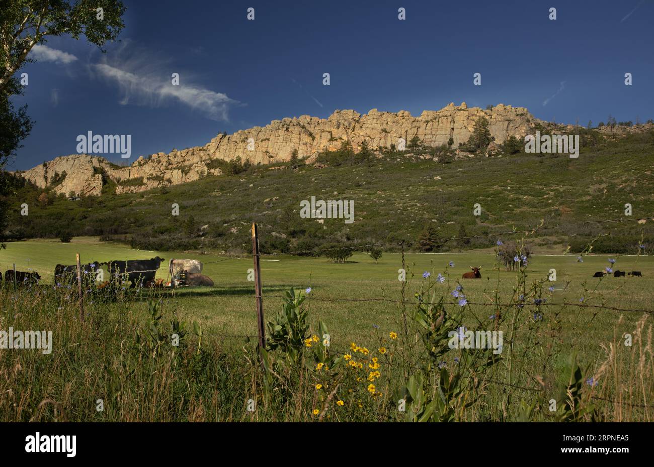Highway of the Legends in the Spanish Peaks Mountain of Colorado Stock ...