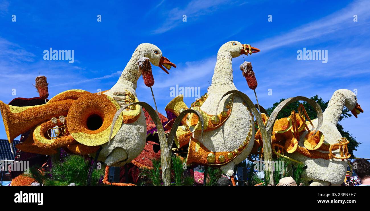 Geese with musical instruments; one of the floats of the Zundert Flower ...