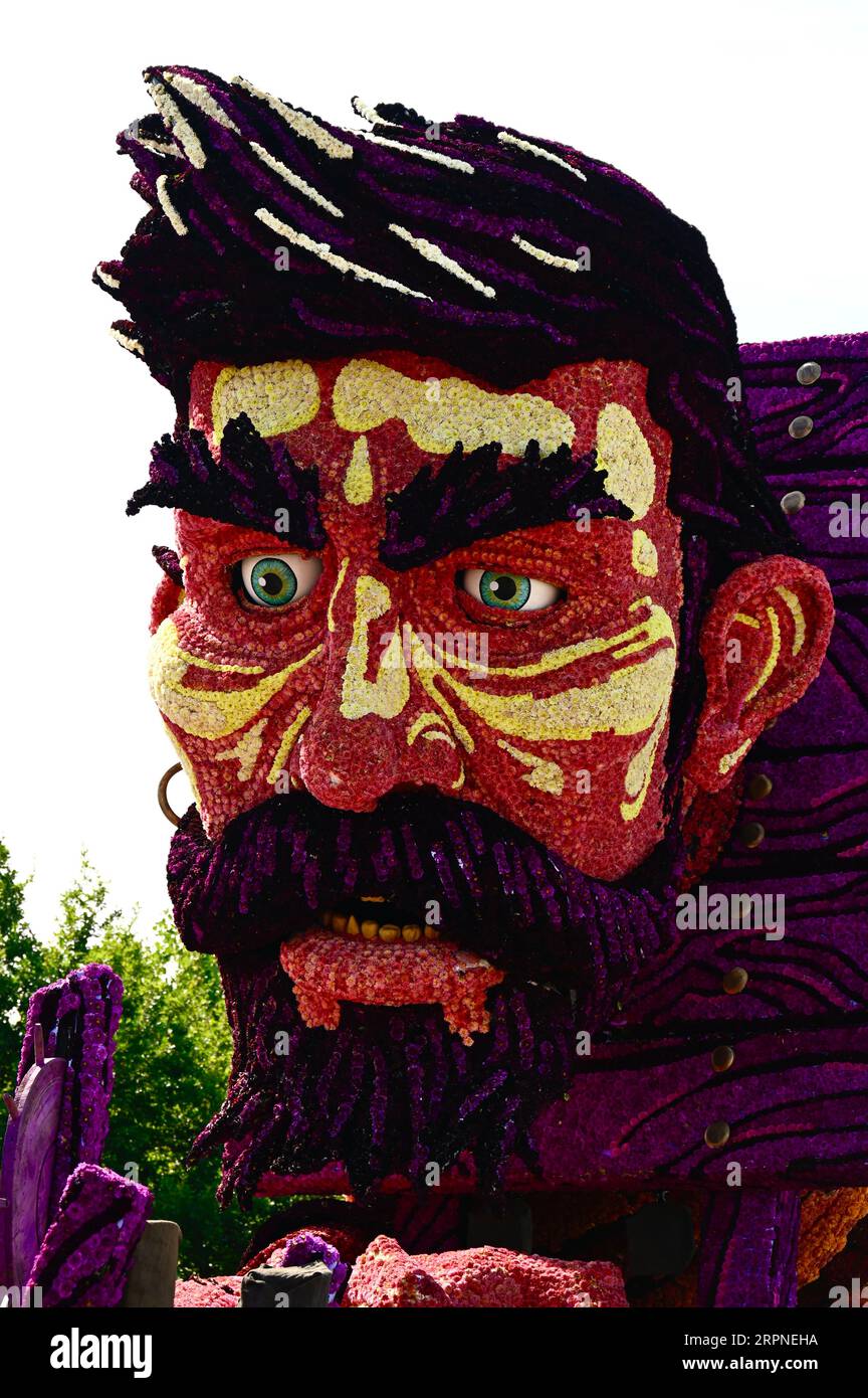 Bearded head of a man with wild hair and ditto expression on his face ...
