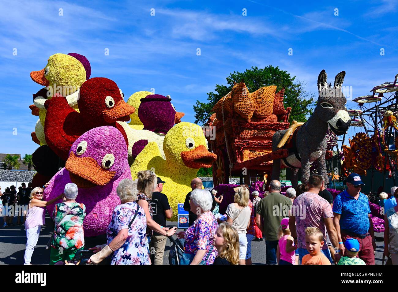 Huge rubber ducks made from dahlias; one of the floats of the Zundert ...