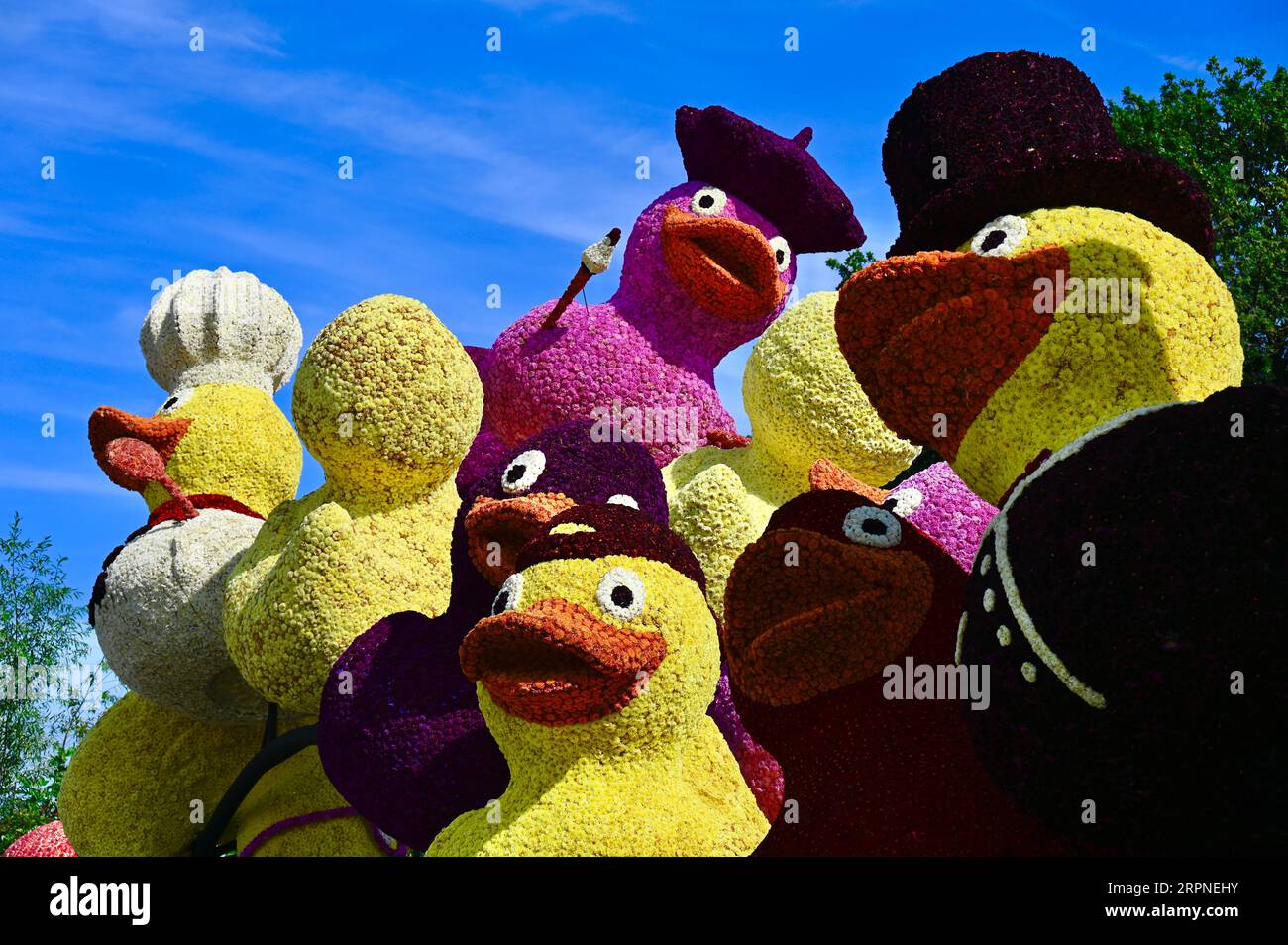 Huge rubber ducks made from dahlias; one of the floats of the Zundert ...