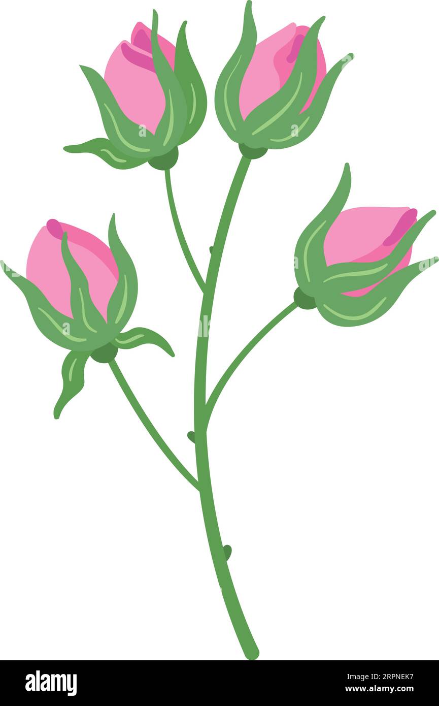 White rosebud bouquet Stock Vector Images - Alamy