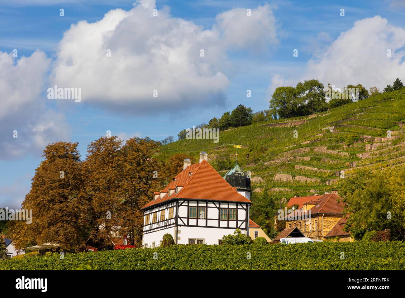 In electoral and royal Saxon times, the estate, as a country seat of ...