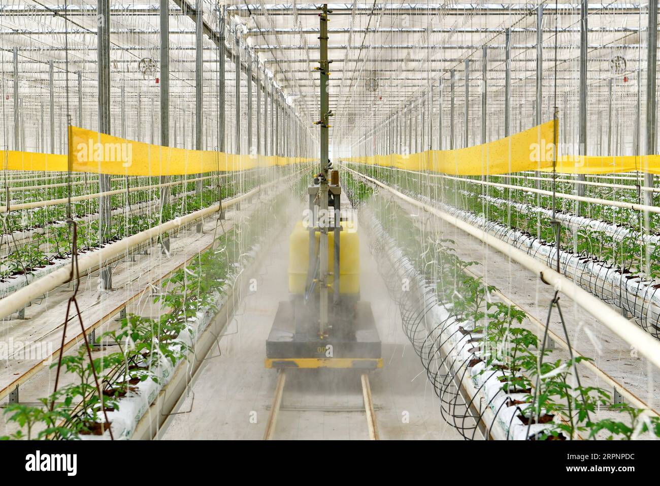 200303 -- JINZHONG, March 3, 2020 -- Photo taken on March 3, 2020 shows ...