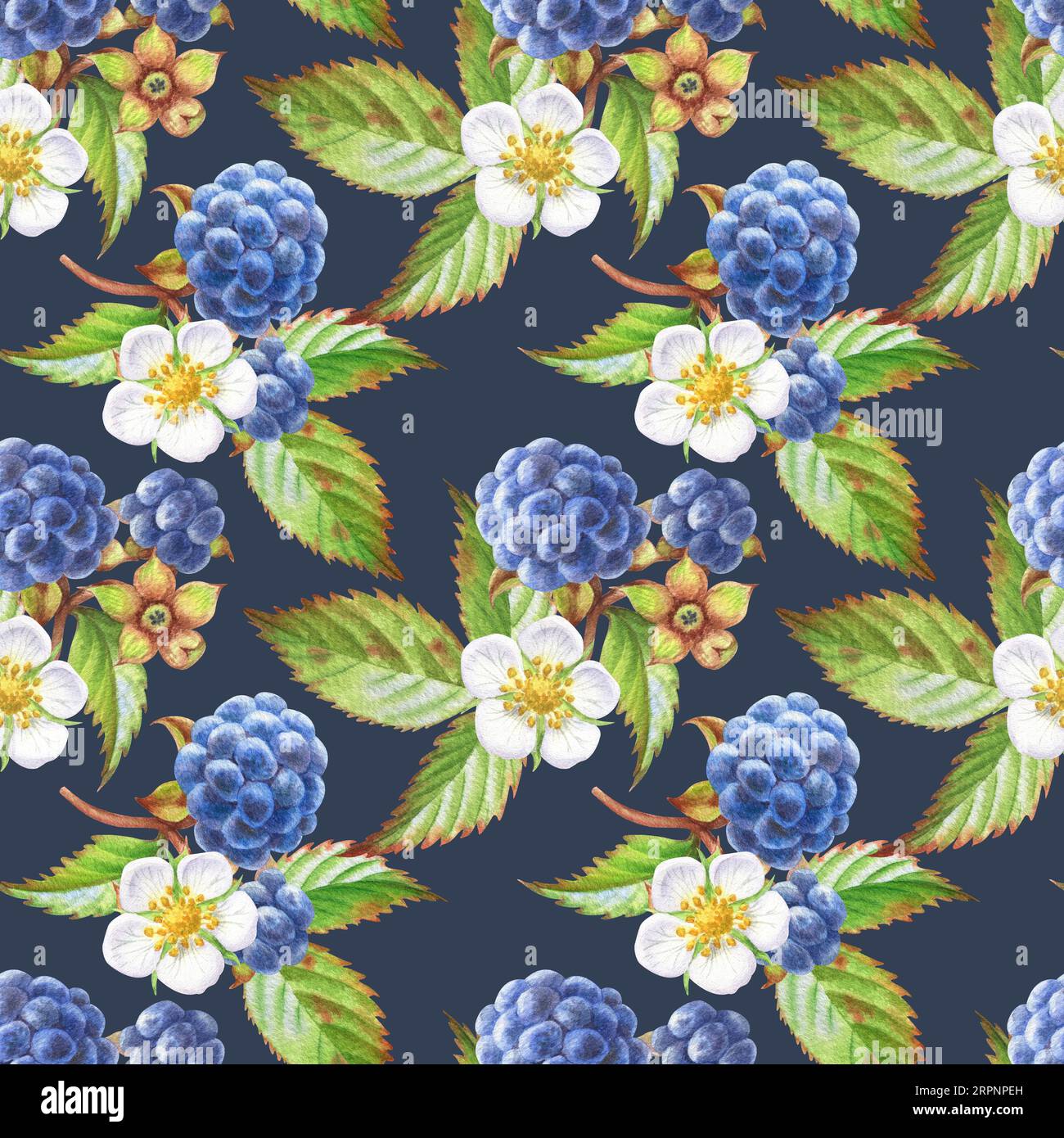 Seamless botanical hi-res stock photography and images - Alamy