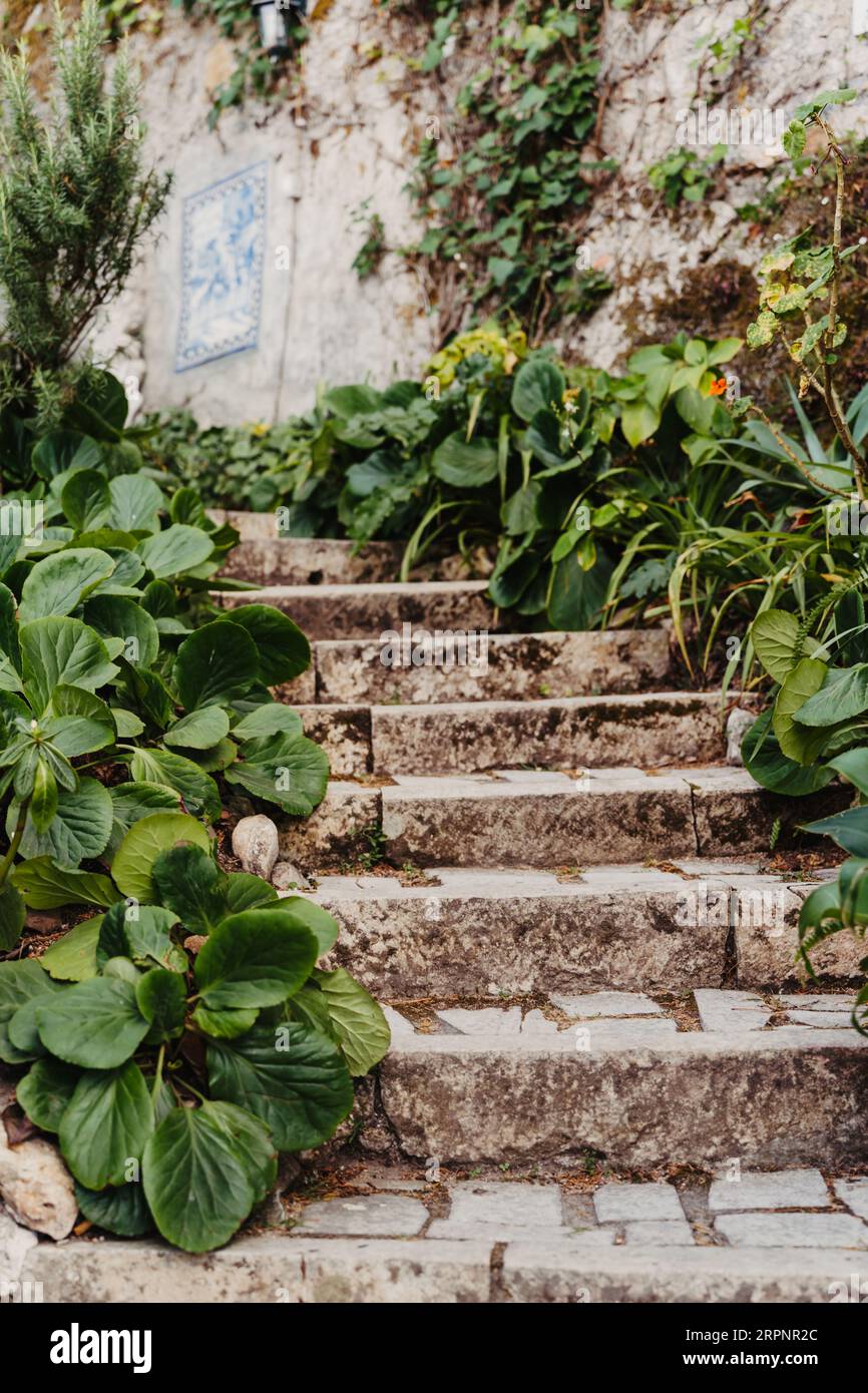 Stone stairs among beautiful bushes and flowers. Staircase on a walking ...