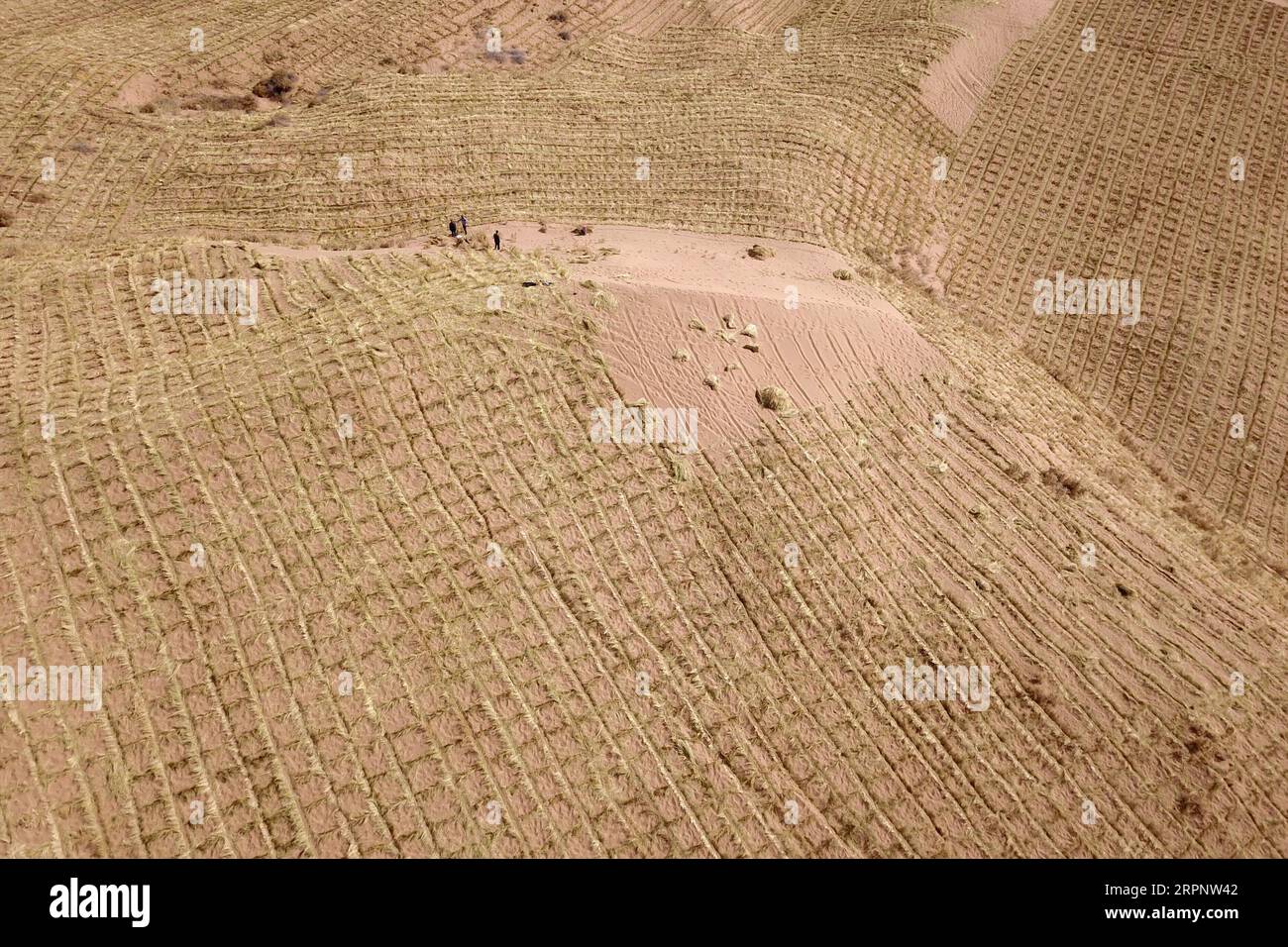 Anti desertification hi-res stock photography and images - Alamy