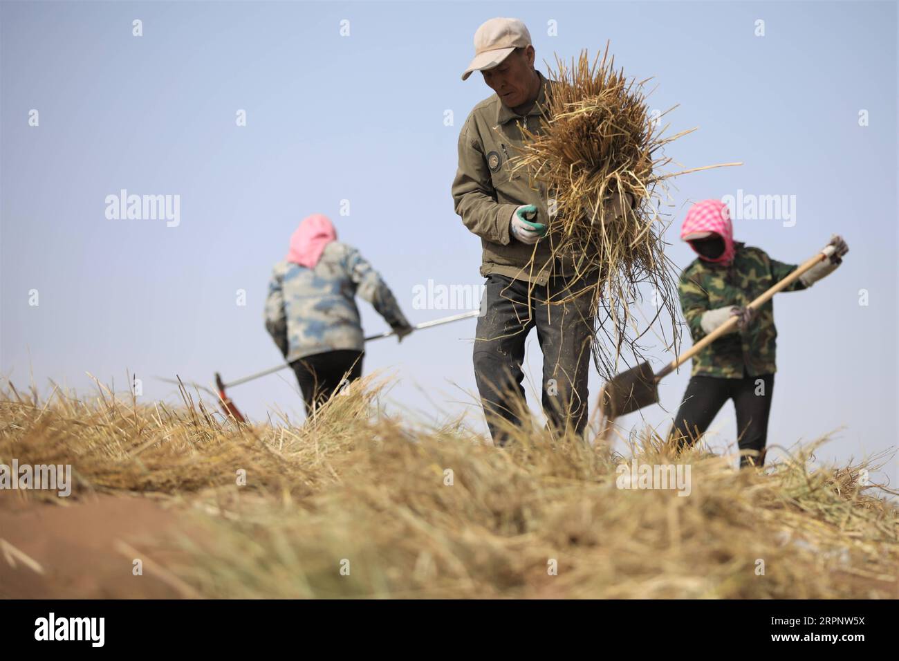 Anti desertification hi-res stock photography and images - Alamy