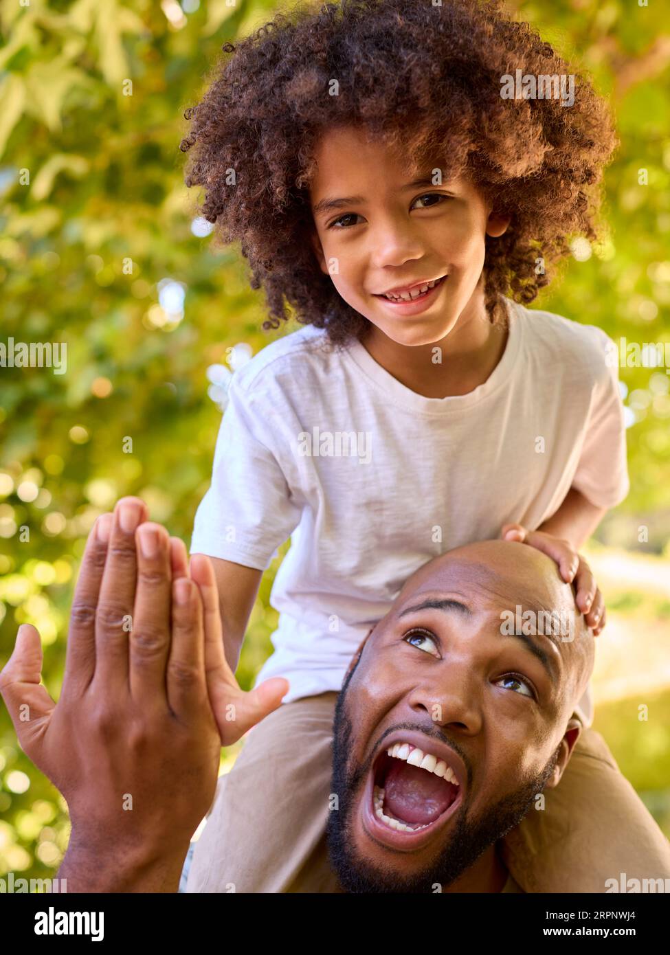 Father And Son In Summer Garden With Boy Riding On Dads Shoulders Stock ...