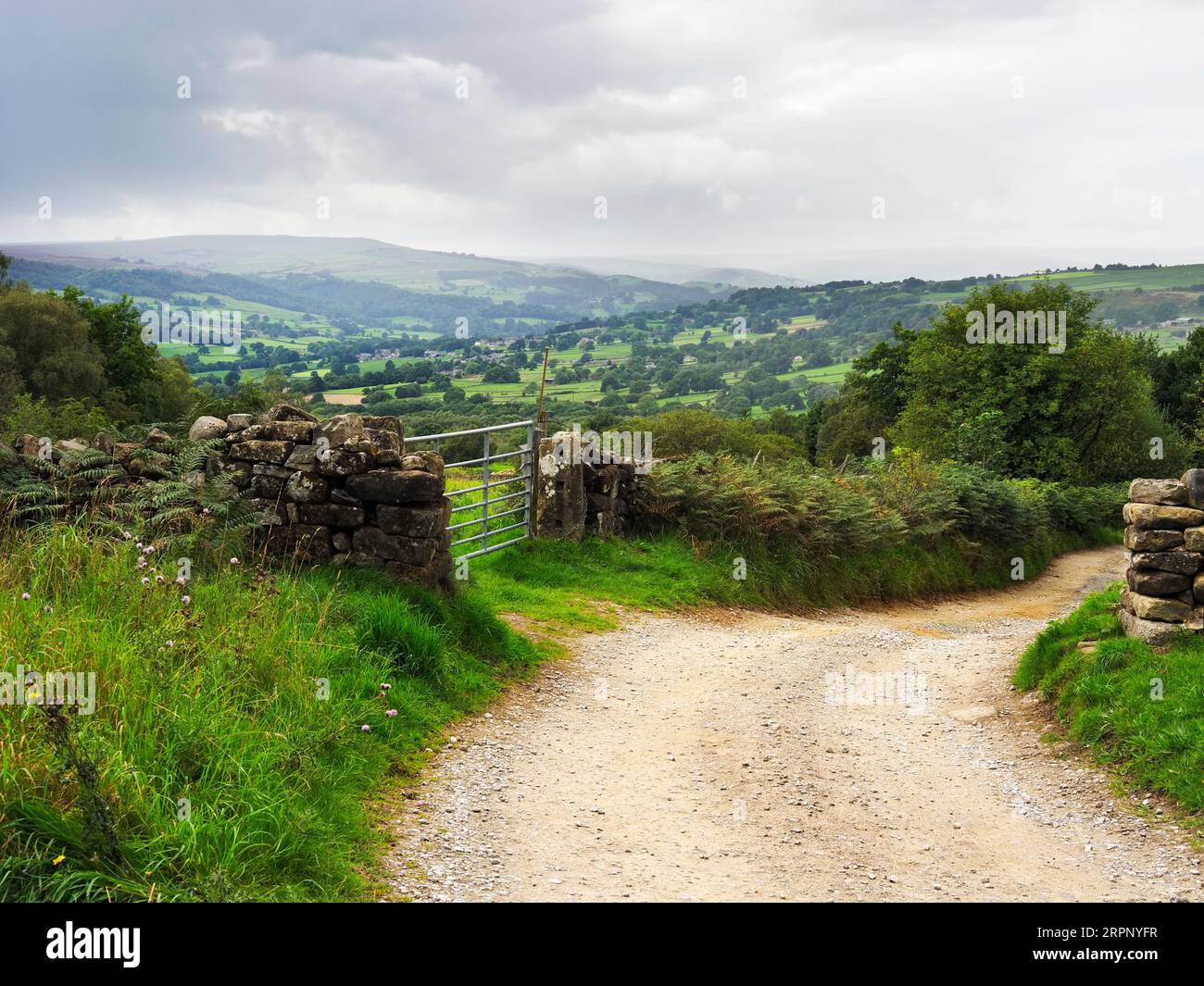 View over nidderdale from the nidderdale way hi-res stock photography ...