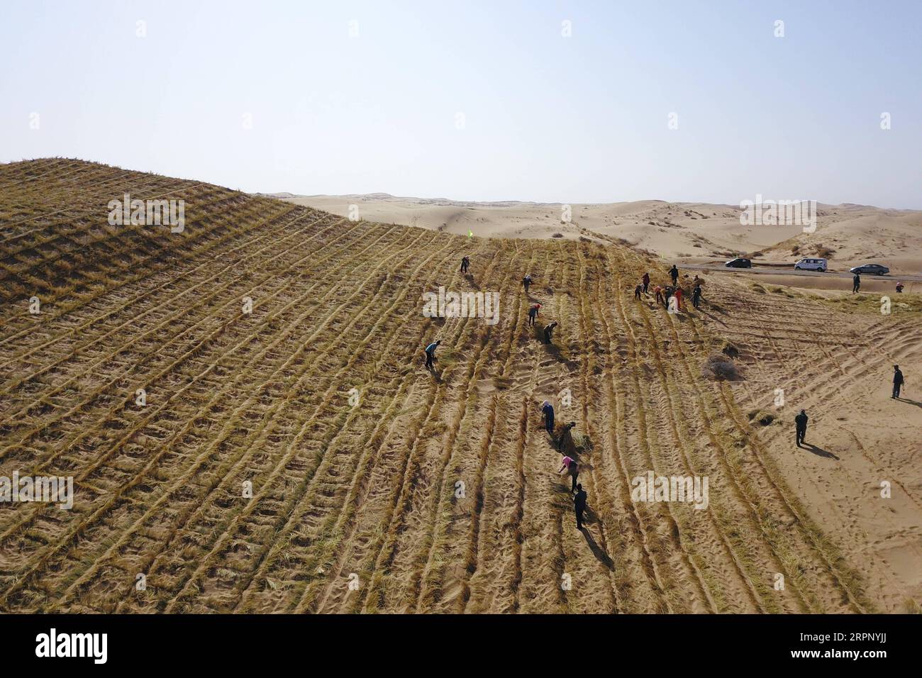 Erosion control straw hi-res stock photography and images - Alamy