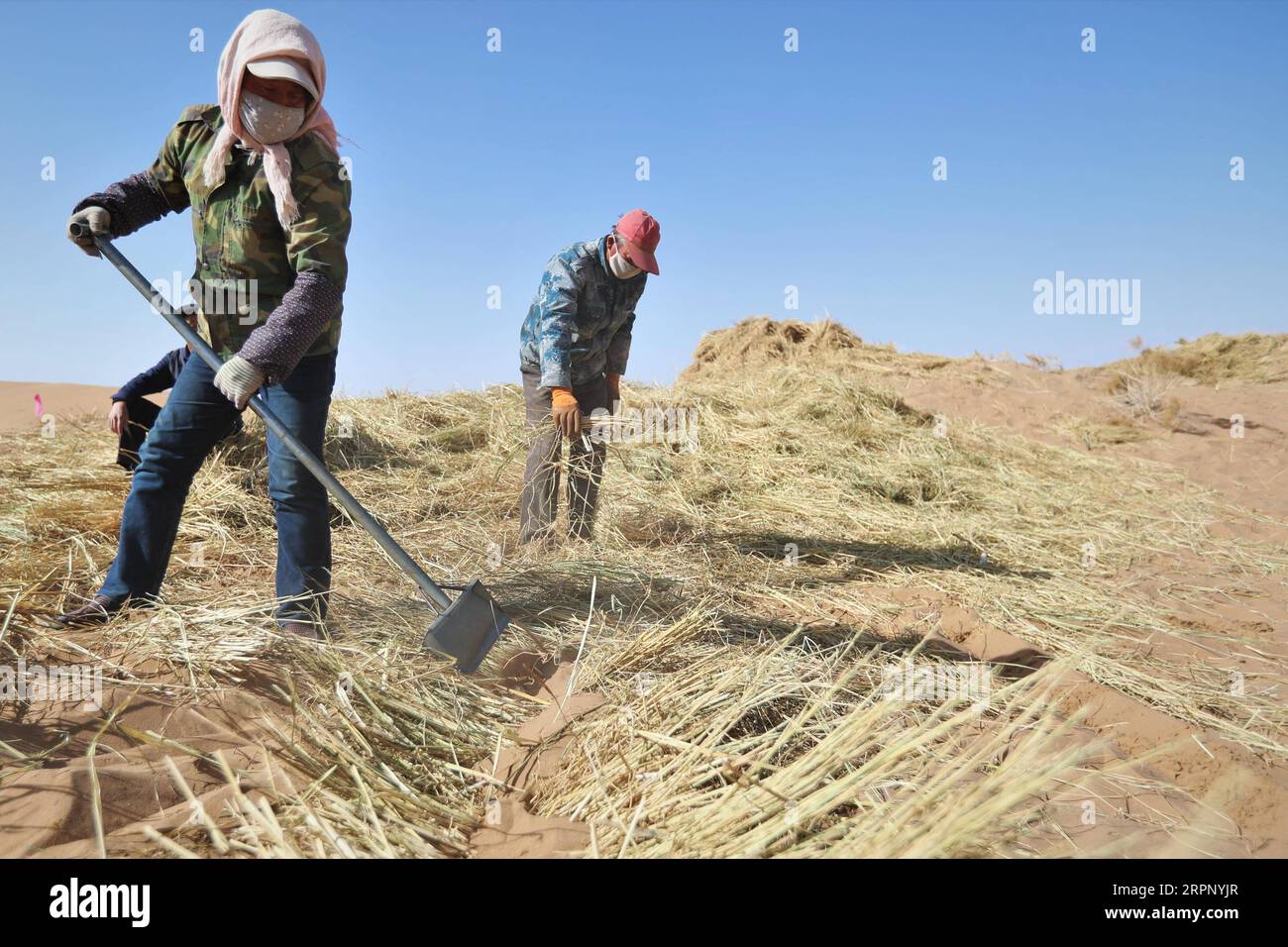 Fighting erosion hi-res stock photography and images - Alamy