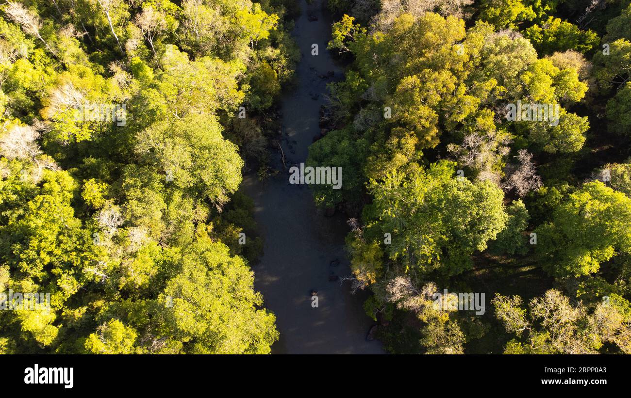 Aerial view of creek hi-res stock photography and images - Alamy