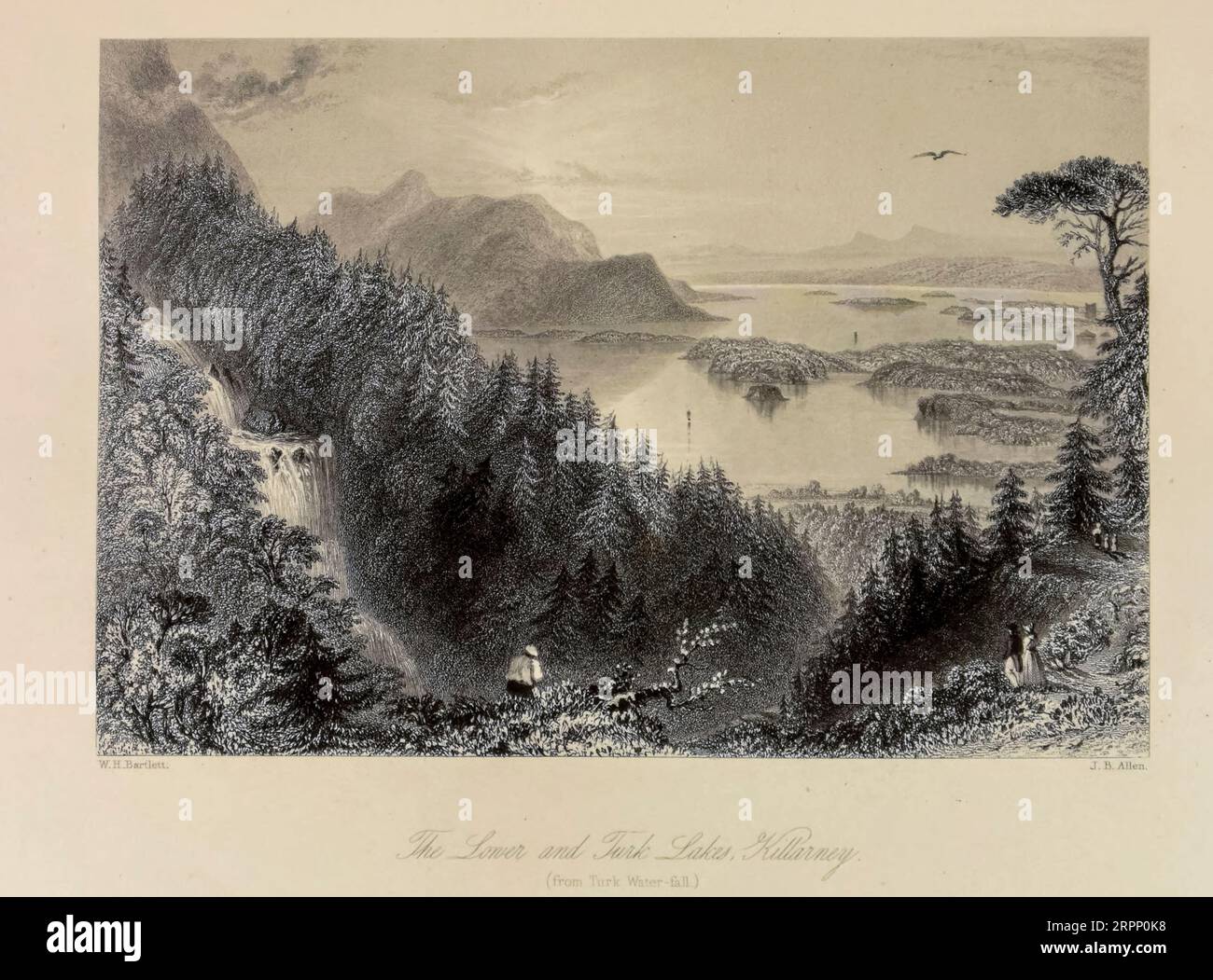 William turk hi-res stock photography and images - Alamy