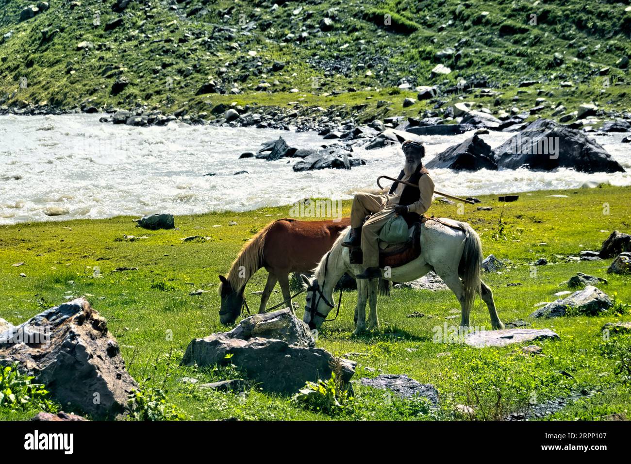 Bakerwal (Gurjar) shepherd in the Warwan Valley, Kashmir, India Stock ...