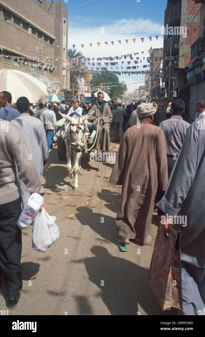 Mule and carts hi-res stock photography and images - Alamy
