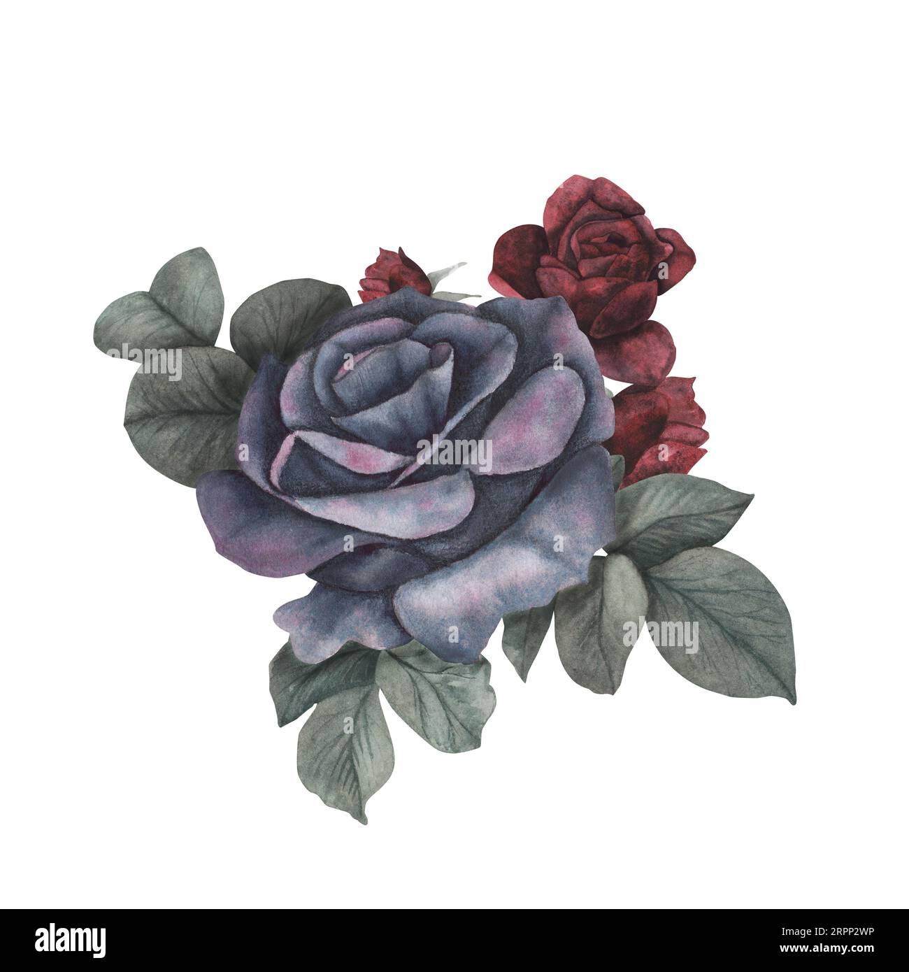 Dark gothic rose with leaves magical space texture isolated on white ...