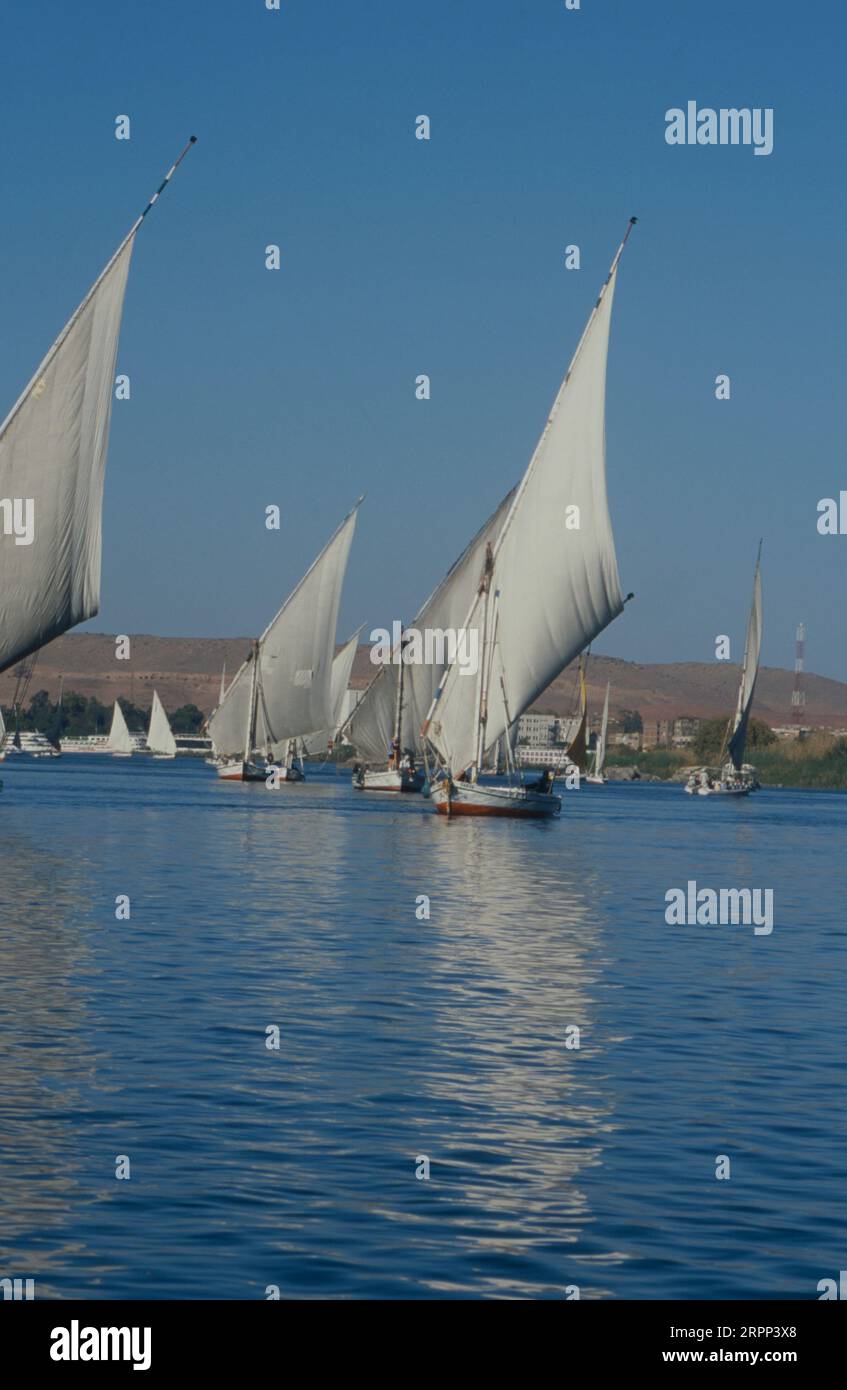 Traditional egyptian felucca boat sails hi-res stock photography and ...