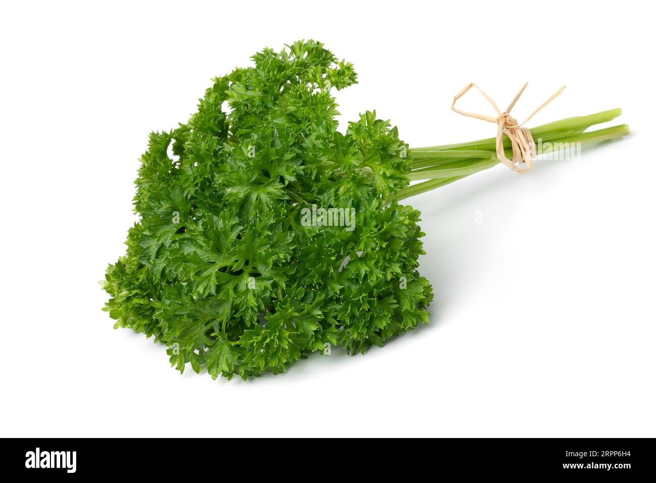 Bunch of fresh green curly leaf parsley close up isolated on white ...