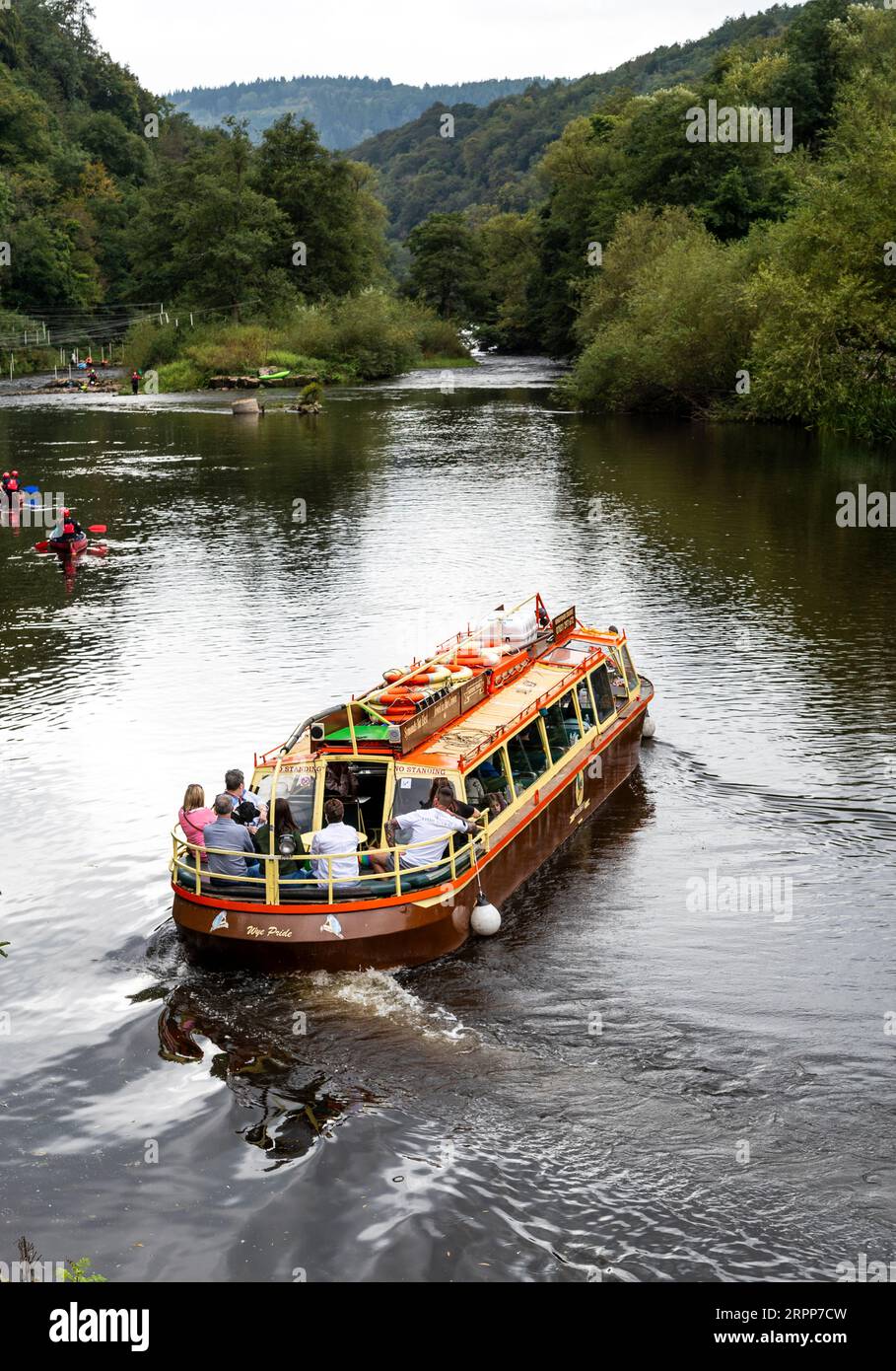Kingfisher river wye hi-res stock photography and images - Alamy