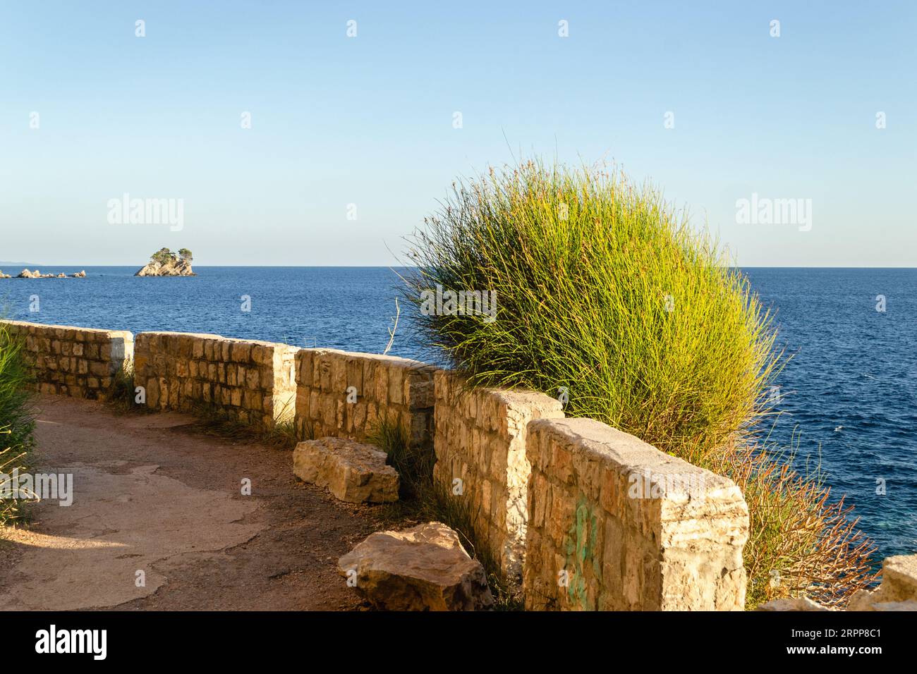 Petrovac na moru, Montenegro. August 08, 2023. Sunlit cliffs, covered with branches of evergreen ...