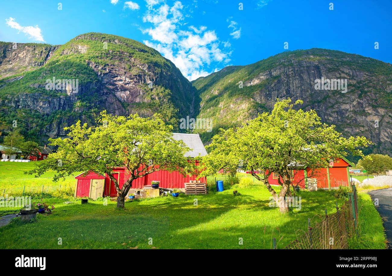 Norway mountain trees hi-res stock photography and images - Alamy