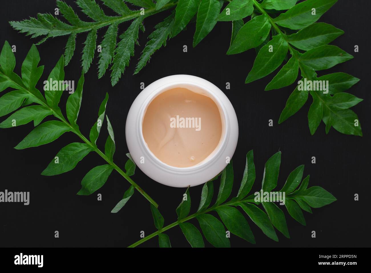 Cream and green leaves hi-res stock photography and images - Alamy