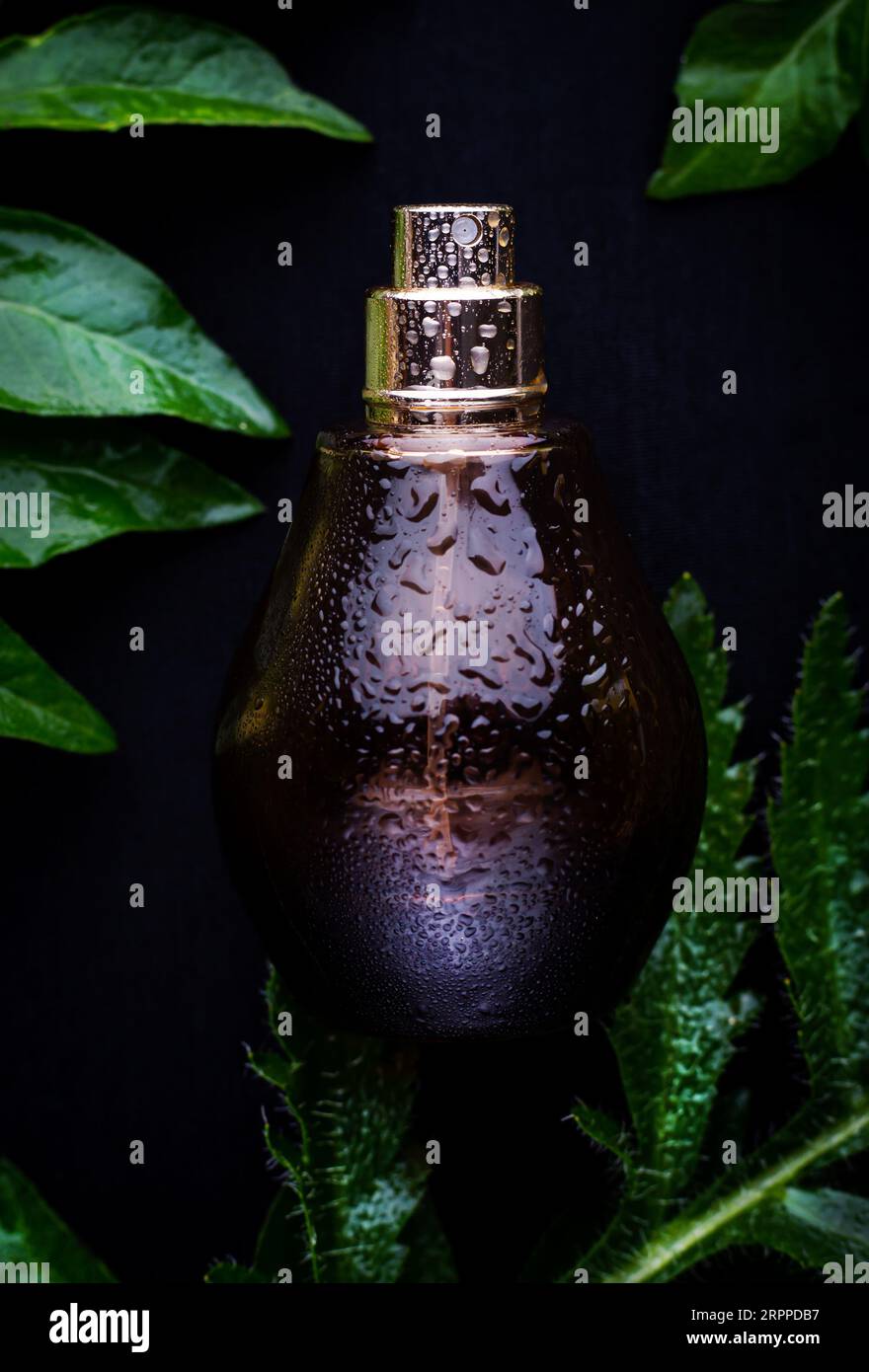 Body odour summer hi-res stock photography and images - Alamy