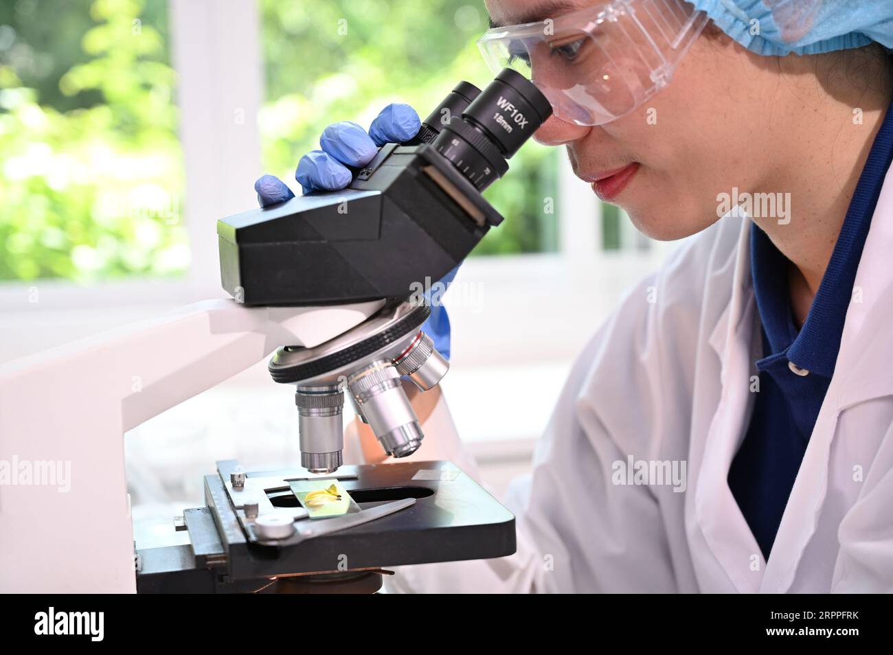laboratory, woman, microscope, research, scientist, science, medical ...