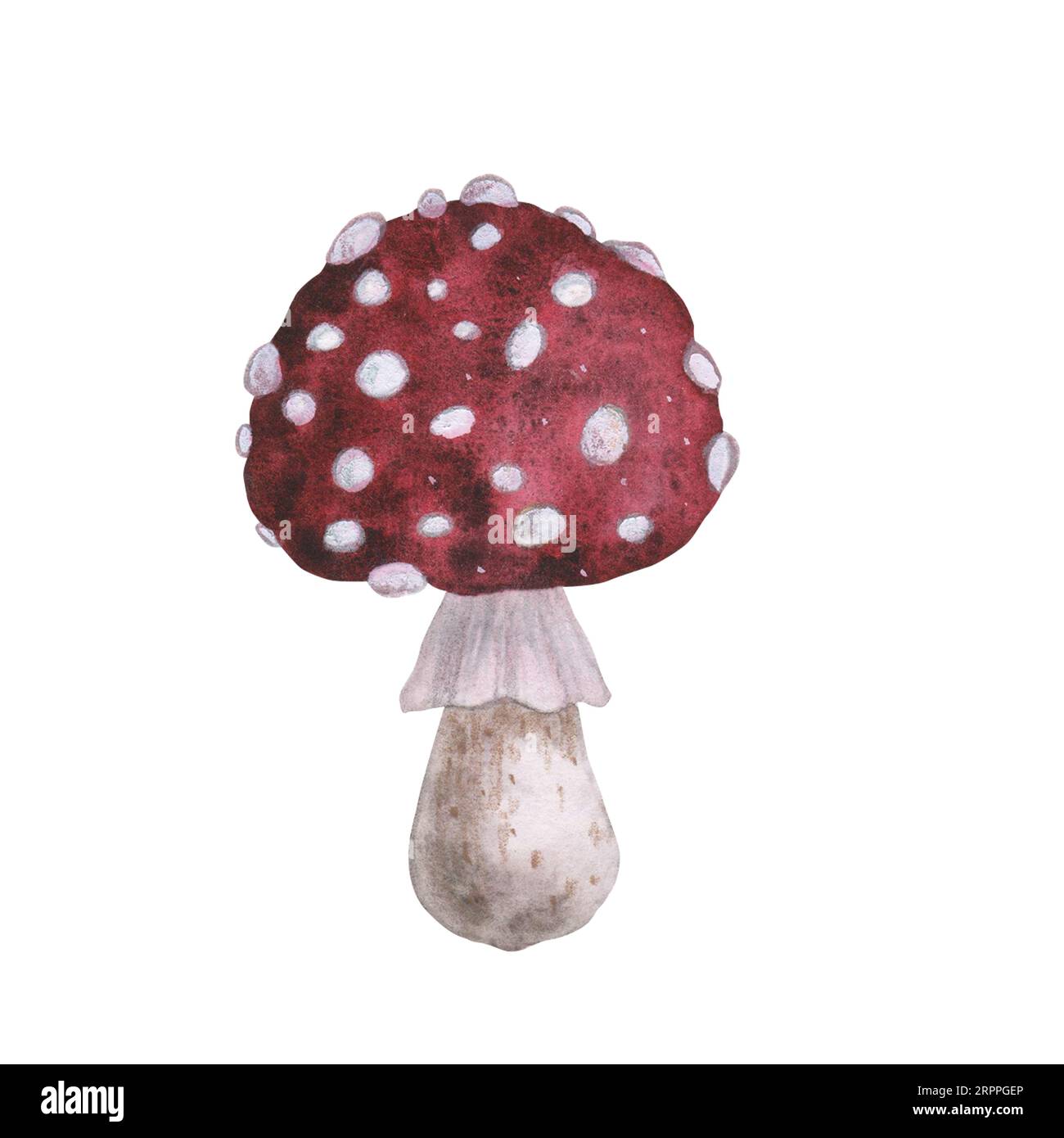 Red fly agaric with magical texture isolated on white background ...