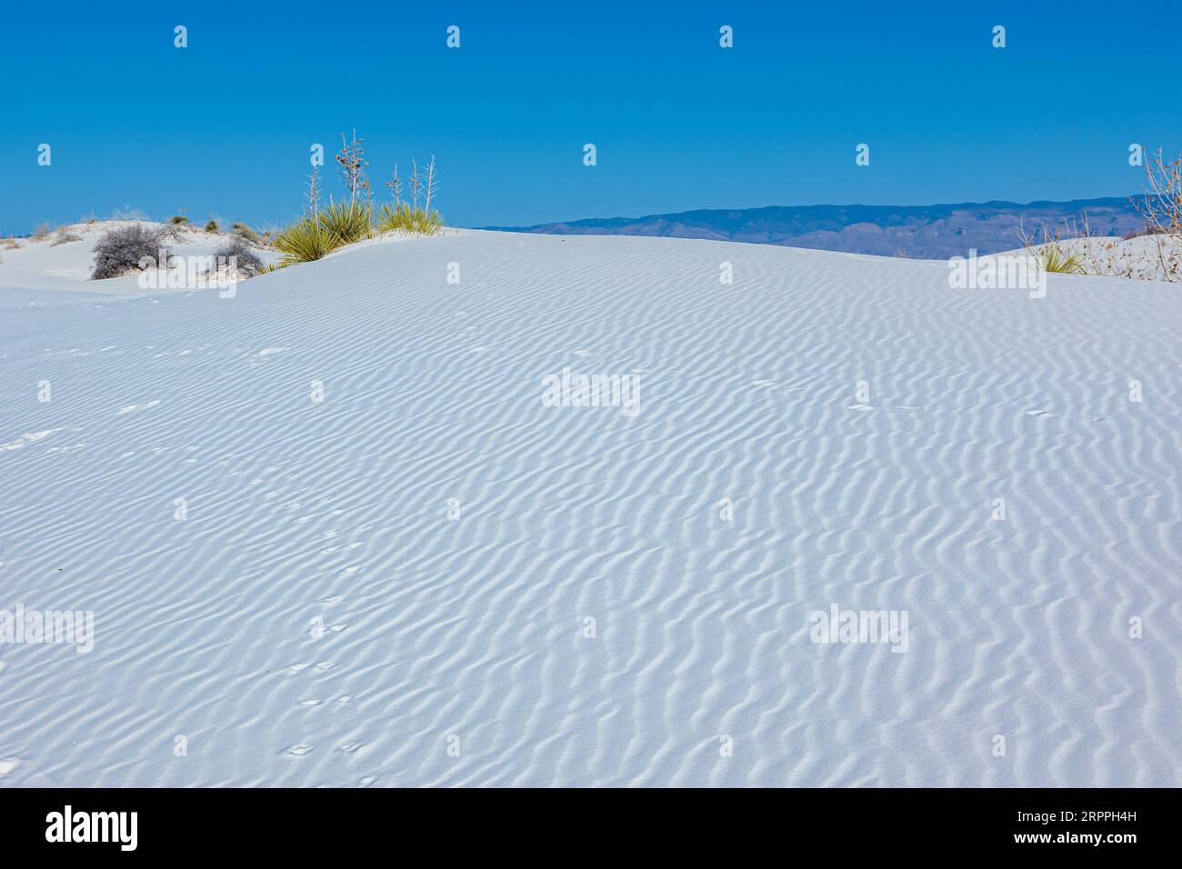 Gypsum dune fields at White Sands National Monument located within the ...