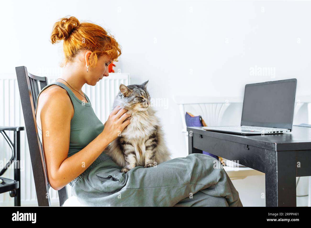 Spending time with your cat Stock Photo - Alamy