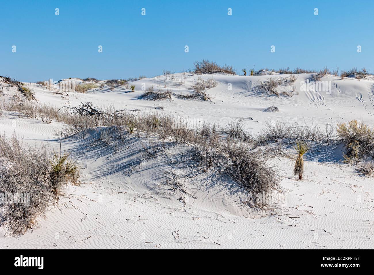 Gypsum dune fields at White Sands National Monument located within the ...