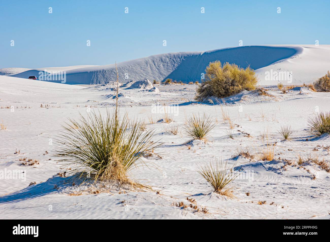 Gypsum dune fields at White Sands National Monument located within the ...