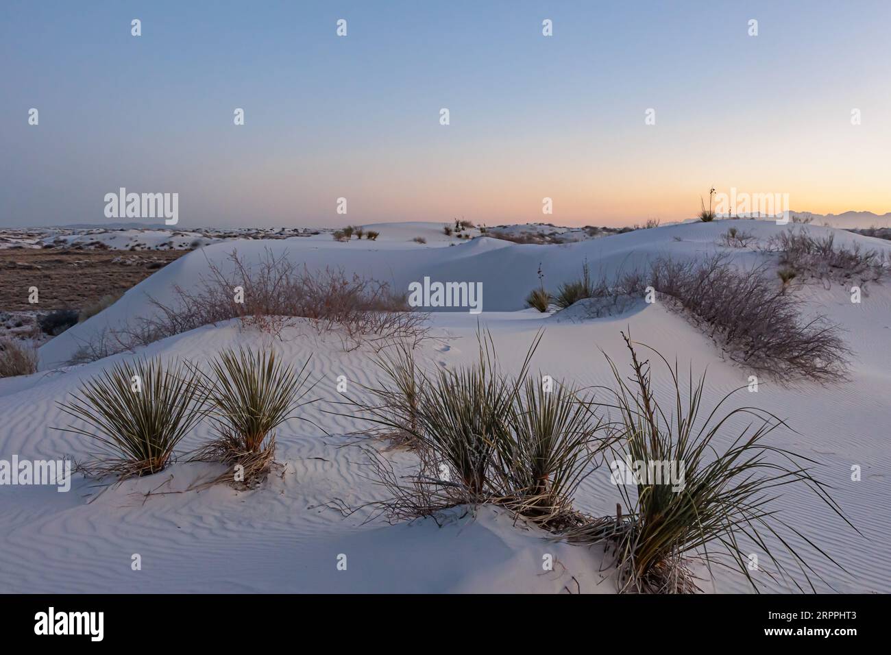Gypsum dune fields at White Sands National Monument located within the ...