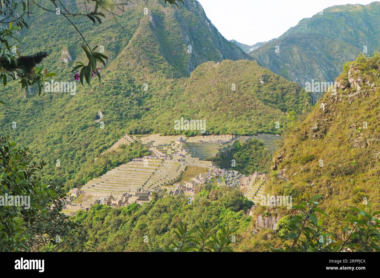 Amazing Aerial View of Condor Shaped Machu Picchu Incas Citadel Ruins ...