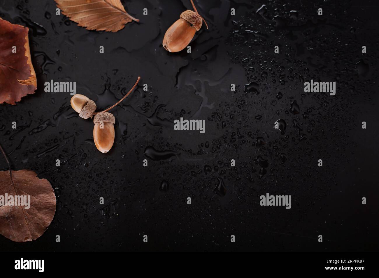 Autumn background. Acorns and leaves Stock Photo - Alamy